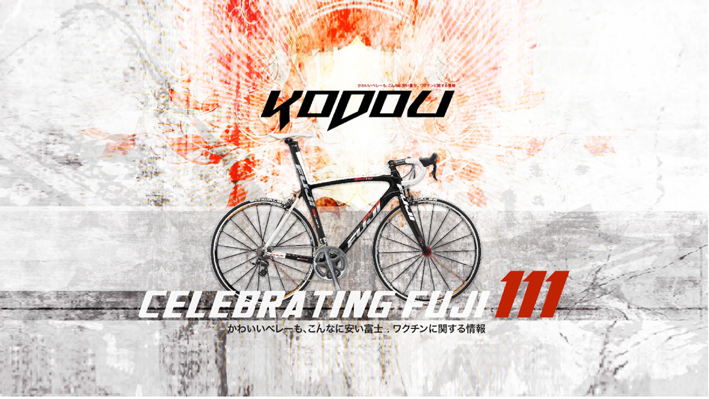 FUJI Bicycles | VOCUIS Branding & Design